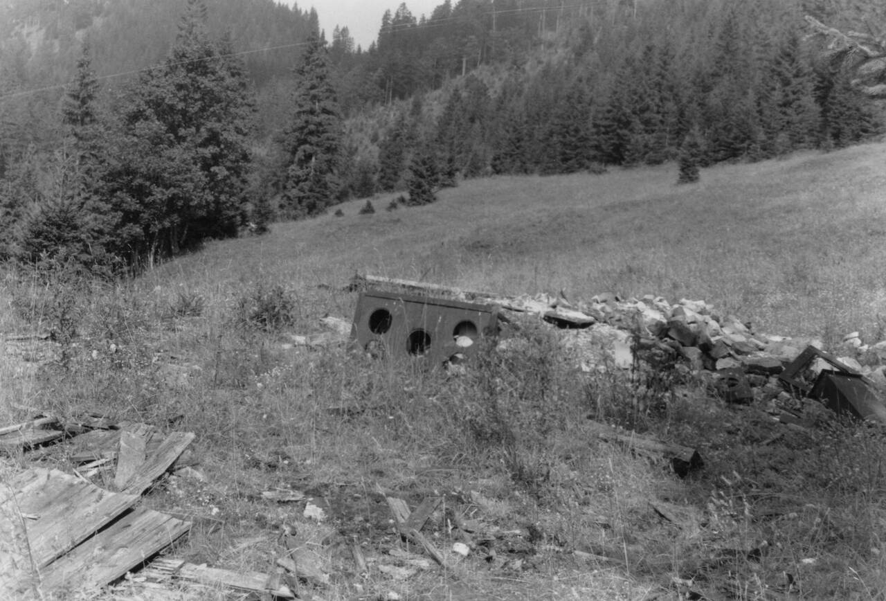 Reste des alten Holzarbeiterhauses in der Salzaleiten, Feuersinger ...
